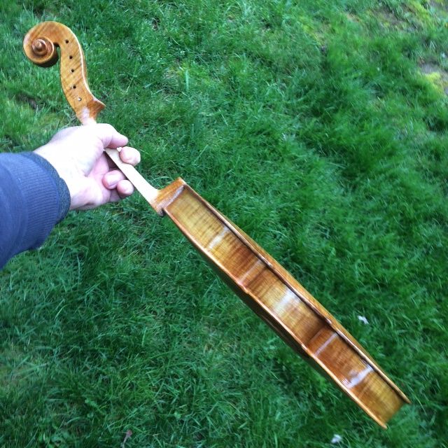 15" 5-String Viola Varnish Progress | Five String Fiddles